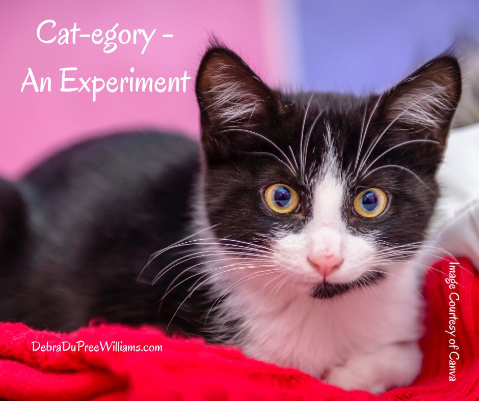 Cat-egory - An Experiment - Debra DuPree Williams | Debra DuPree ...