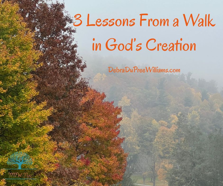 3 Lessons From a Walk in God's Creation - Debra DuPree Williams | Debra ...